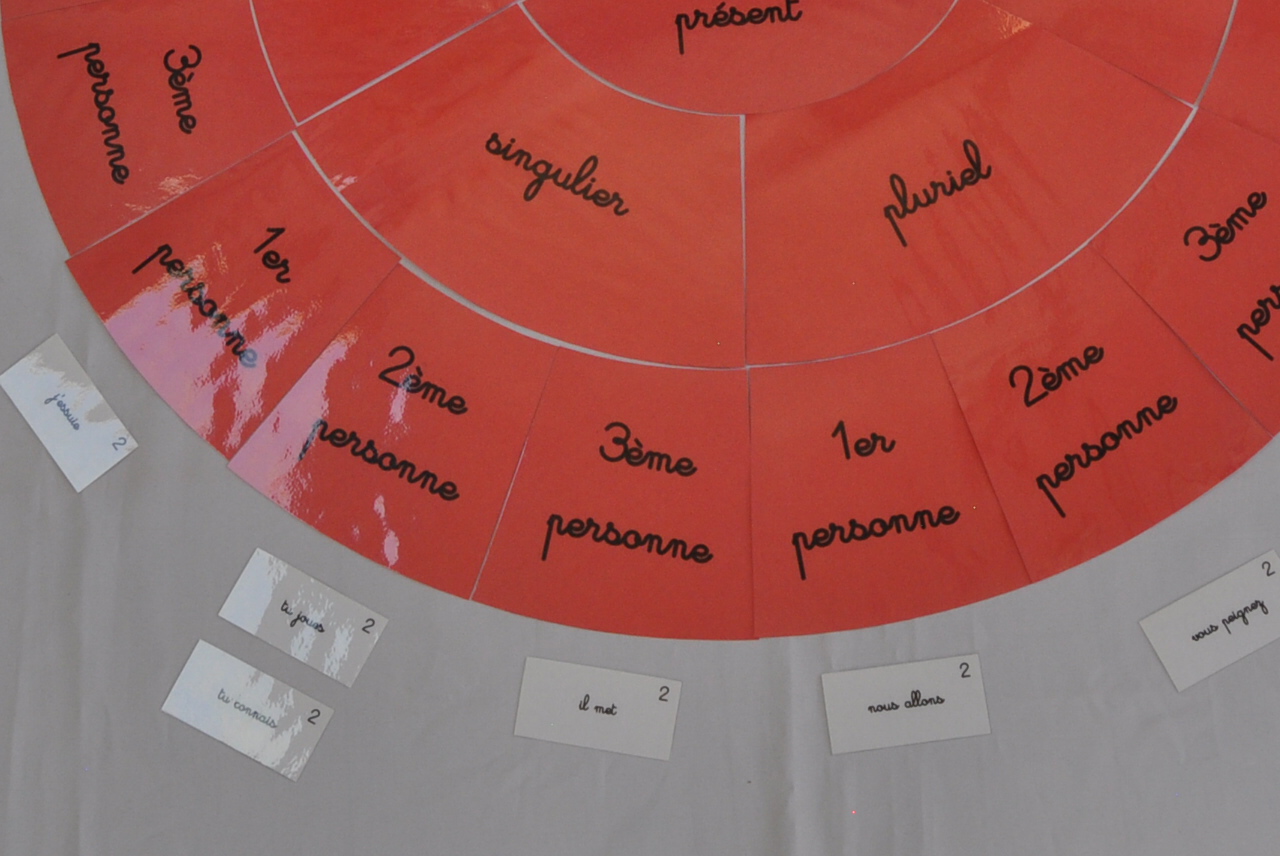 La roue de la conjugaison